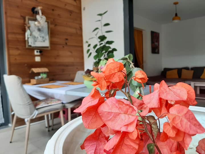 Appartement Proche Plage Et Parcours De Santé. - La Réunion