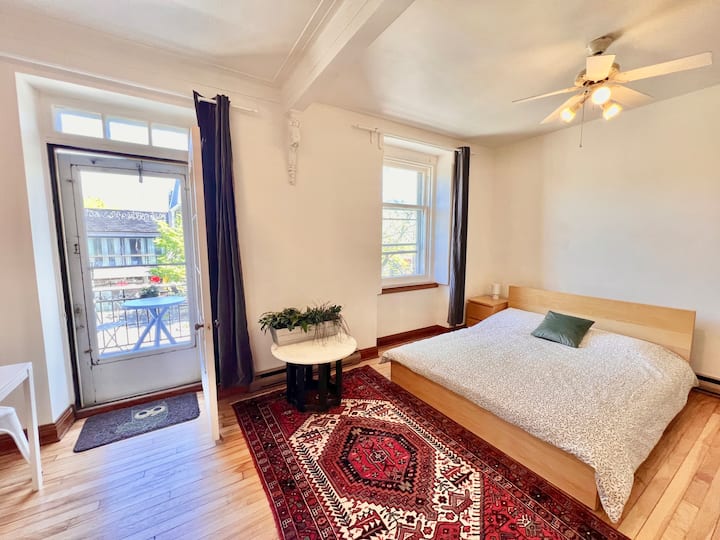 Appartement Avec Balcon Sur La Rue Saint-denis - Montréal, QC