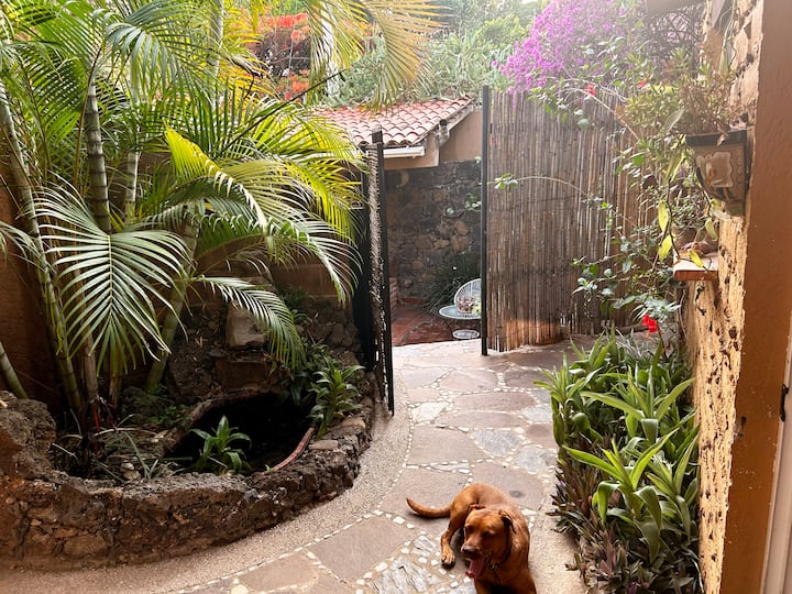 Charming Cottage In The Mountains Of Tepoztlan - Tepoztlán