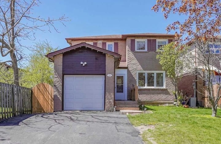 Cozy 1-br Basement Apt With Separate Entrance - Ajax