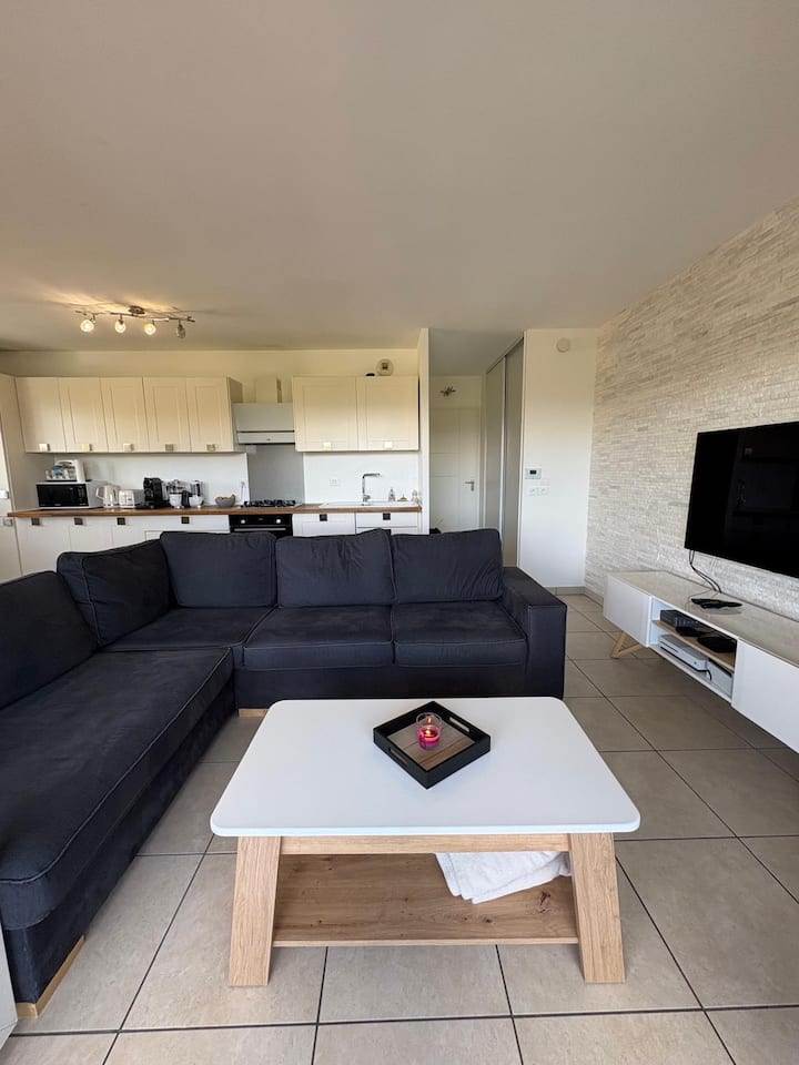 Appartement 3 Chambres - Annemasse