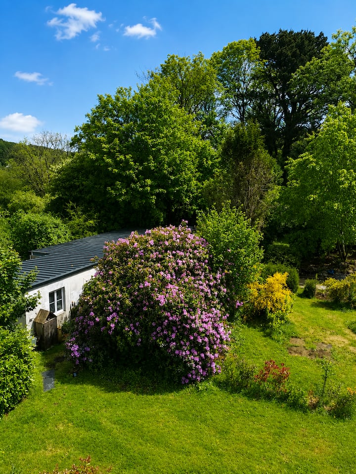 Le Clos Du Pin - Pluvigner