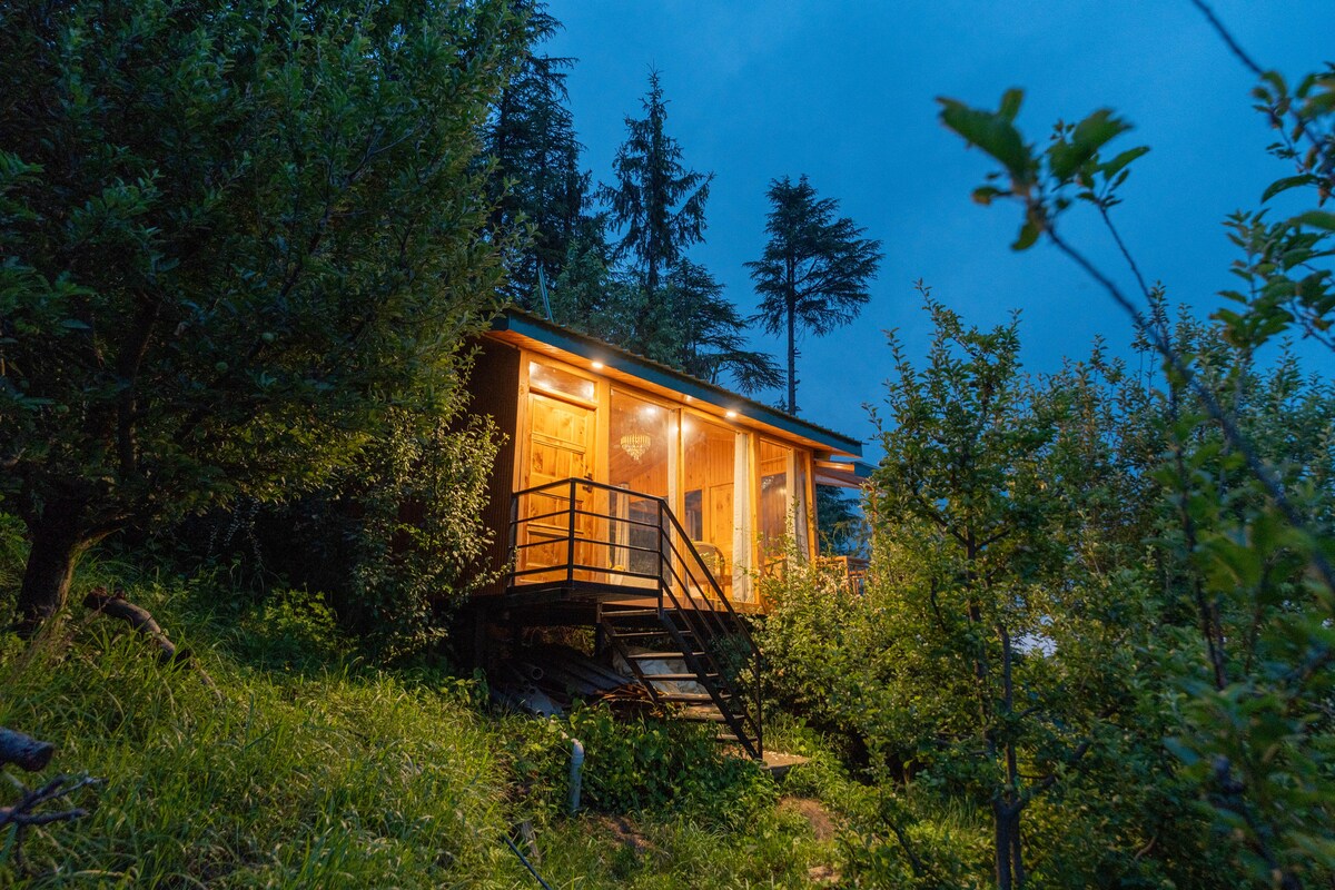 Cabane en verre dans les arbres avec vues envoûtantes - Cabanes dans ...