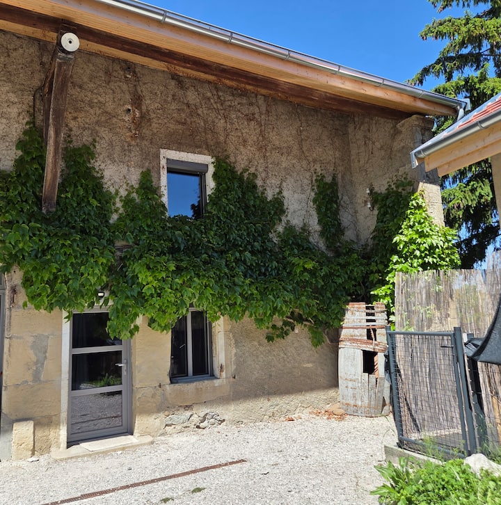 Maison Rénovée à Louer Dans Ancien Corps De Ferme - Saint-Julien-en-Genevois
