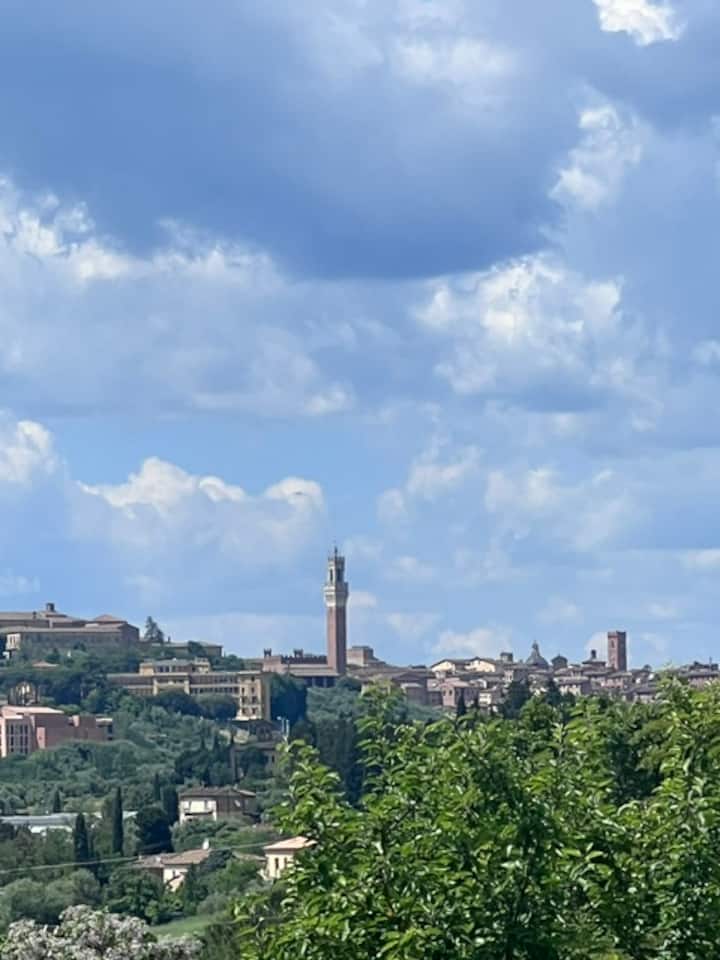 Casa Ely (Siena) - Siena