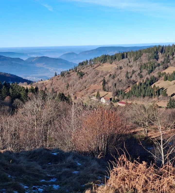 Dortoir Partagé 3 - Gérardmer