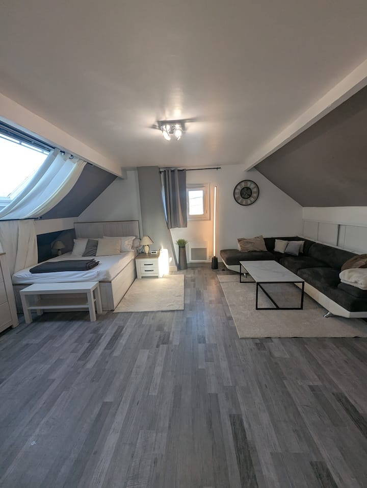 Grand Studio Avec Cuisine Séparée - Près Cdg - Villepinte