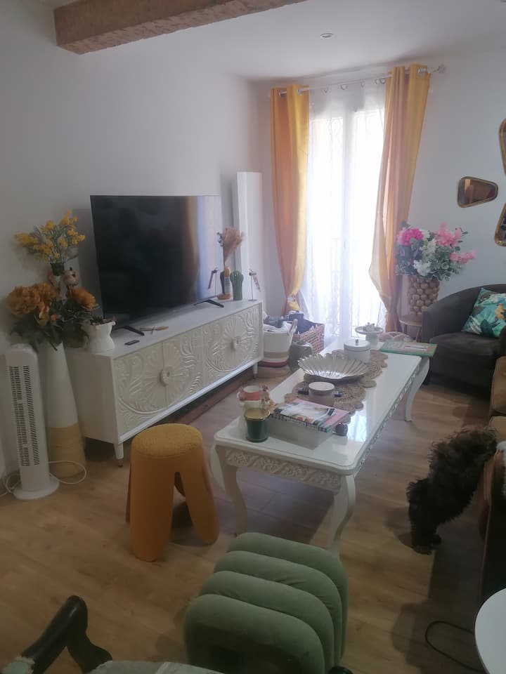 Authentique Et Charmante - Ille-sur-Têt