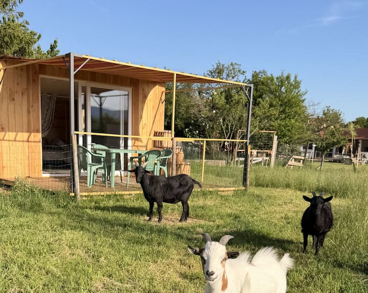 Cabane Au Milieu Des Animaux De La Ferme - Roanne