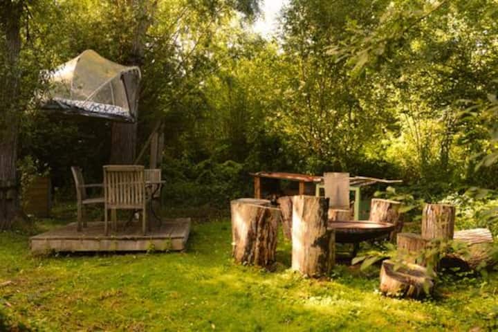 Bulle Suspendue Sauvage – Immersion Nature - Barbizon