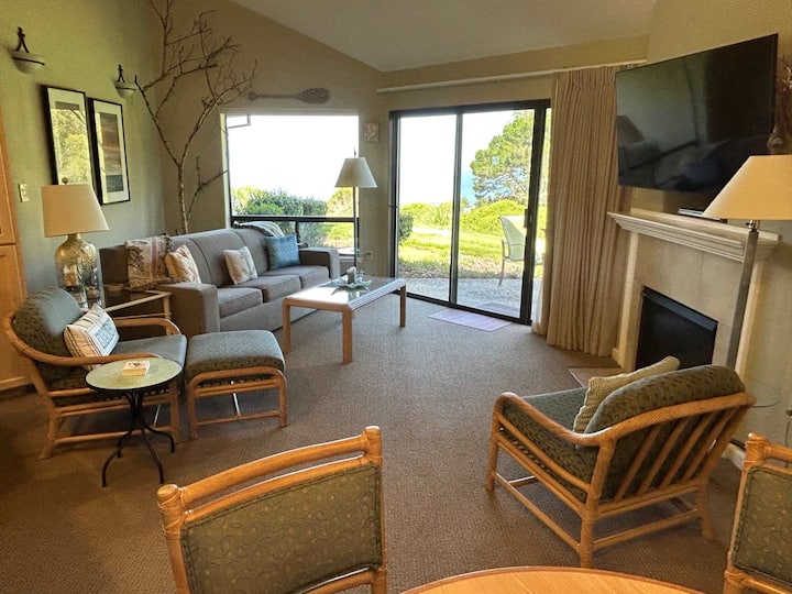 Accessible North Bluff Open Floorplan-ocean View - Aptos