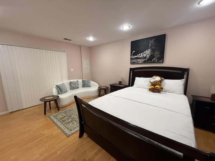 Adorable One Bedroom Basement - Alexandria, VA