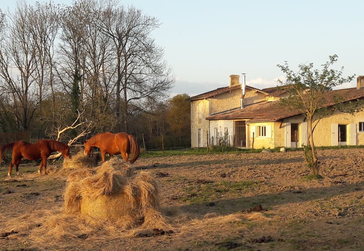 Gîte Fermier, En Pleine Nature (7-8 Personnes) - Cenac