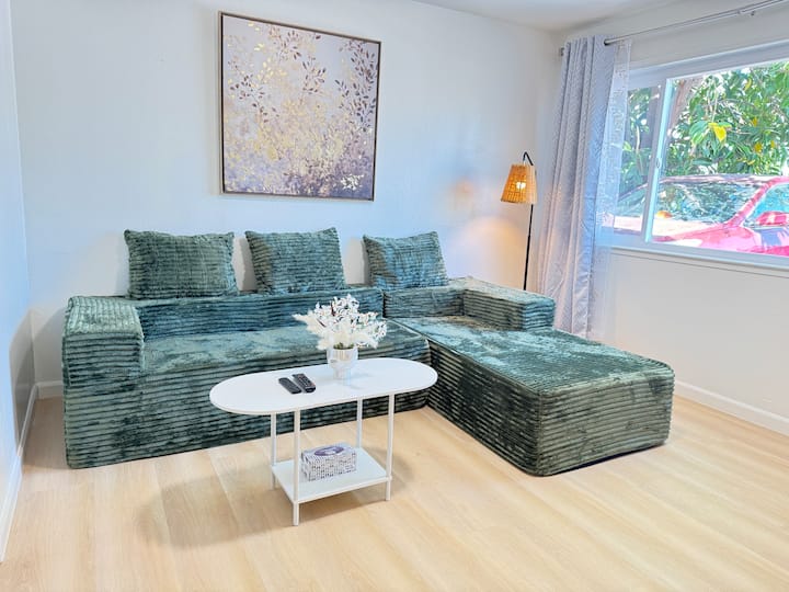 Newly Renovated 3br W/ Huge Backyard - San José