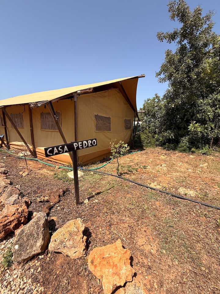 Premium Safari Tent Pedro - Armação de Pêra