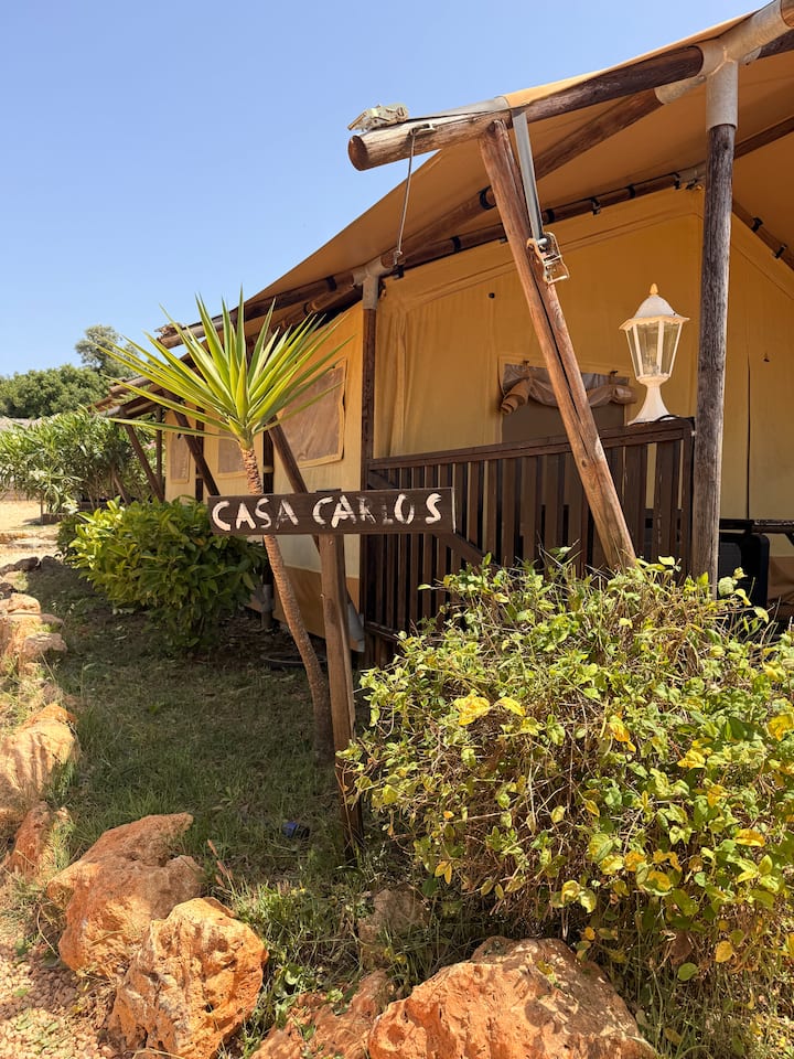 Premium Safari Tent Carlos - Portimão