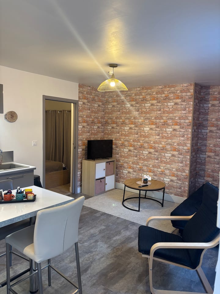 Apparemment Cosy Avec Extérieur Tours Centre - Tours