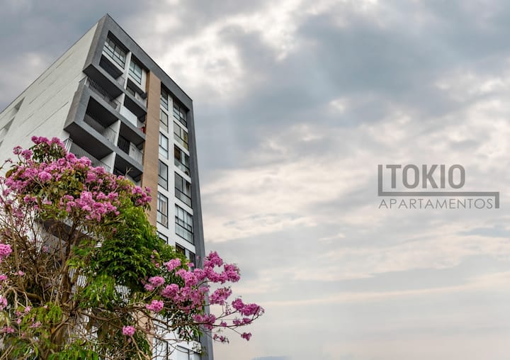 Luxury Apartment Tokio - Armenia, Colombia