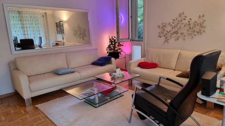 Premium Wohnung Mit Park- Und Bergblick - Lucerne