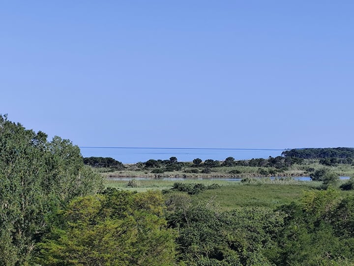 Appartement 3-4 Pièces Avec Vue Sur Mer - Patrimonio