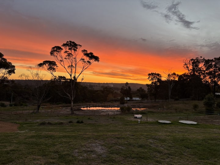 Boots & Tails Retreat | Horse, Dog & Family Stay - Bridgetown