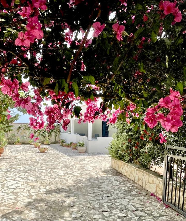 Villa Con Giardino - Lido Burrone / Calamoni - Isola di Favignana