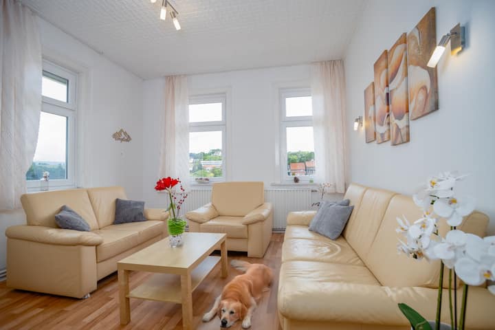 Harzurlaub Mit 2 Hunden - Fewo Alte Schule 2 - Harz