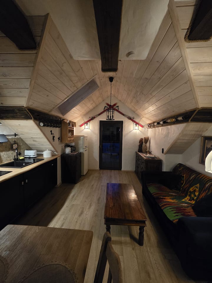 Woodland Apartment Large - Polańczyk