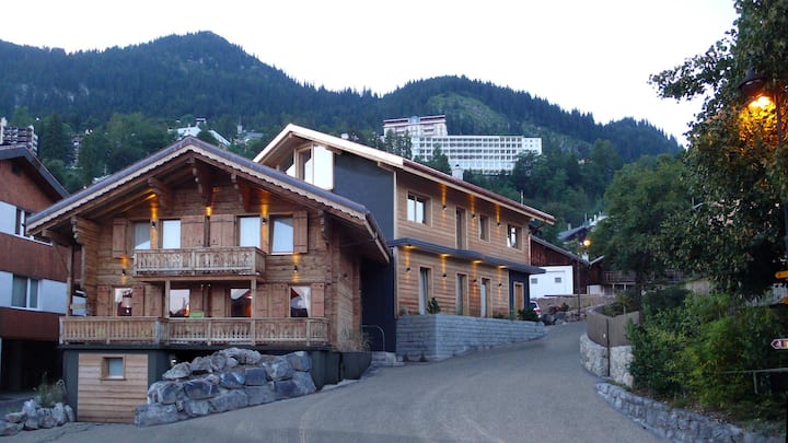 Leysin Grand Alpine Residence - Leysin