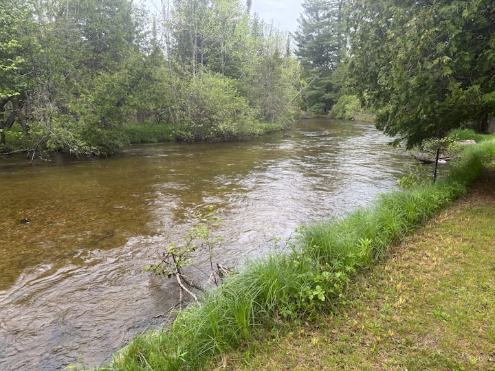 Platte River Barndo - Honor, MI