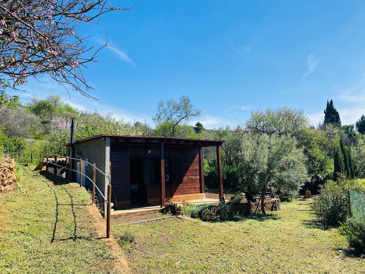 Log cabin - Cabins for Rent in Las Tricias, Canary Islands, Spain - Airbnb
