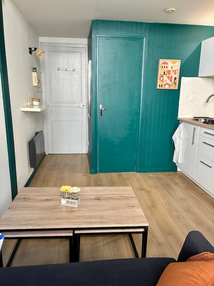 Studio Central Avec Chambre Séparée En Mezzanine. - Pau, Francia