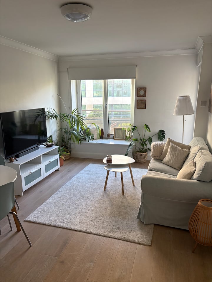 Amazing Apartment In Central Dublin With Balcony - Dublin