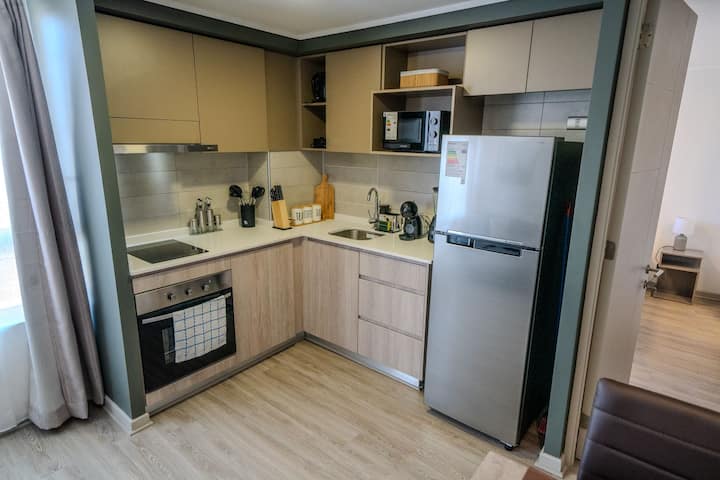 Moderno Dpto, Frente Al Metro, Wifi, Ac, Parking - Santiago