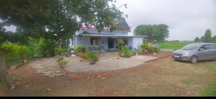 Organic & Natural Lifestyle In Forest With Cheeta - Sheopur