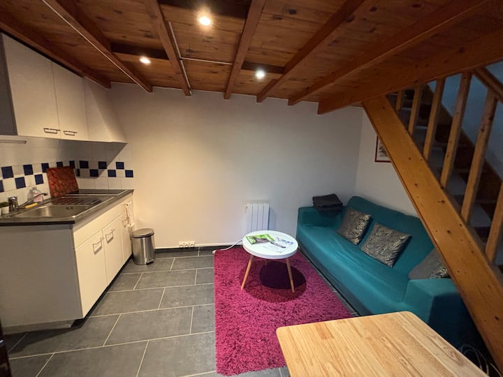 Studio Dans Une Petite Courette De Maison - Boulogne-Billancourt