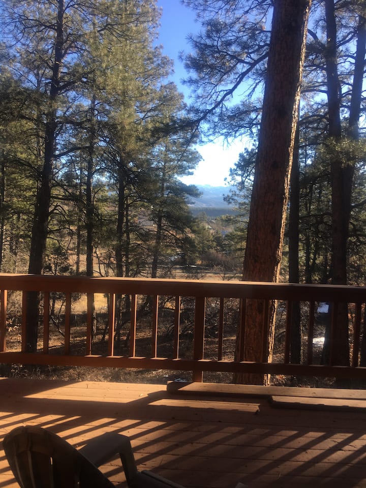 Rocky Mountain Home In The Pines. Views. - Pagosa Springs, CO