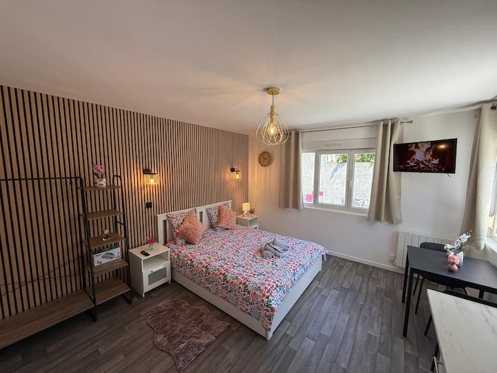 Superbe Studio 3 Lumineux Au Design Moderne - Tremblay-en-France