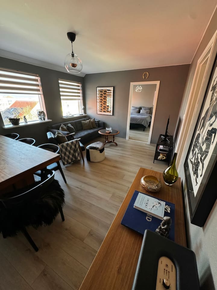 Downtown Apartment - Reykjavik