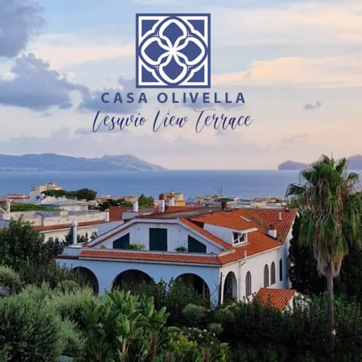 Casa Olivella - Vesuvio View Terrace - Torre del Greco
