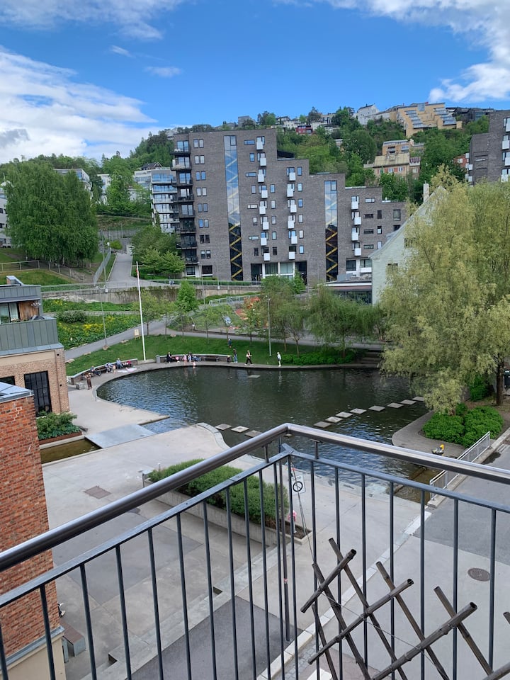 Utleie Av Leilighet I Sentrum Fra 1.6-1.11 - Oslo