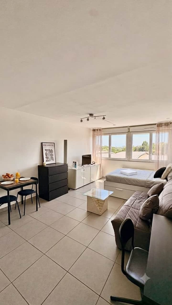 Grand Studio Lumineux 31m²  Porte De Lyon  Parking - Dardilly