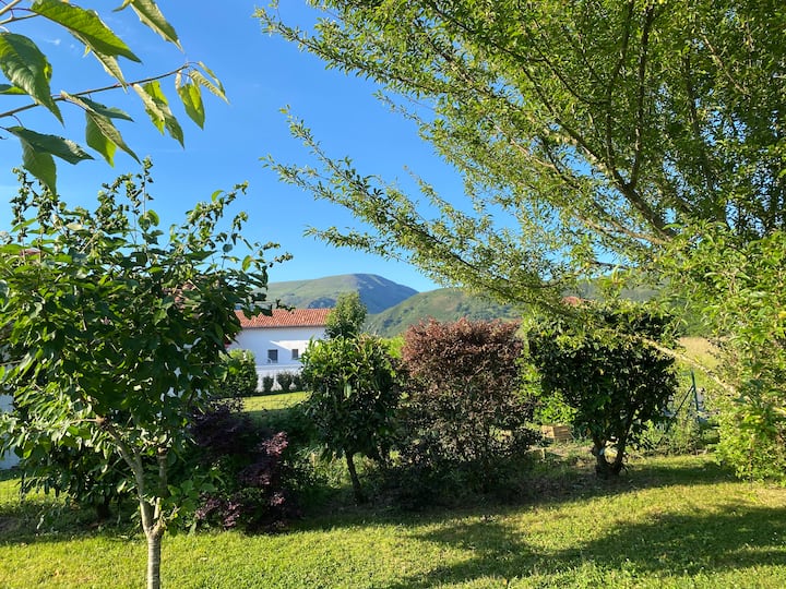Charmante Maison Au Milieu D'un Grand Jardin. - Itxassou