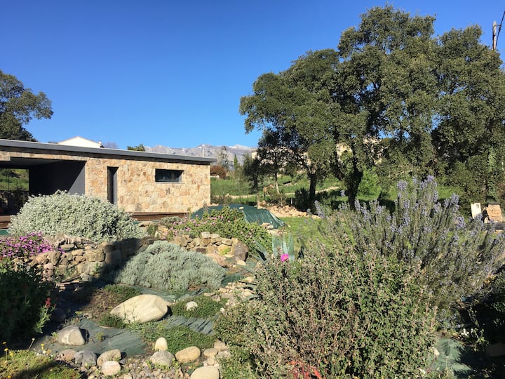 Mini Villa Entre Mer Et Montagne - Solenzara