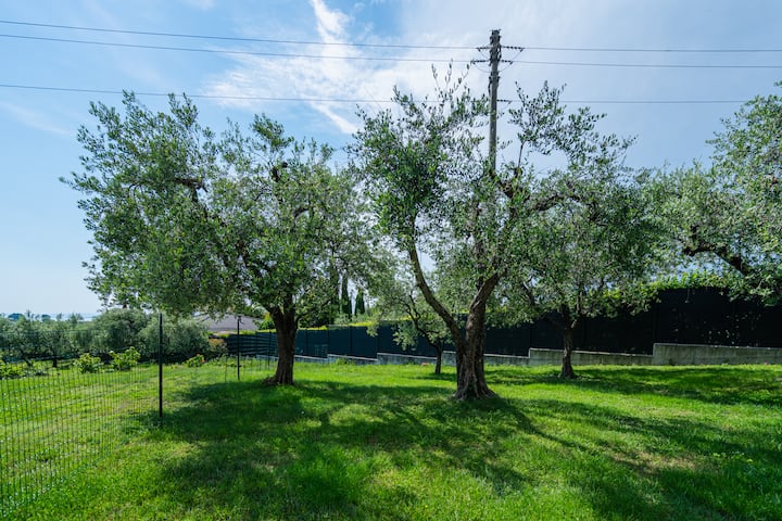 Apt X 4, Free Park, Wi-fi, Lake & Olive Grove View - Bardolino