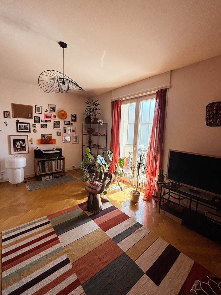 Beautiful Apt. In Basel Minutes From Messe Basel - Basel