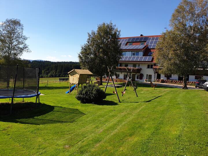 Fewo 3 "Untere" 65qm Für 4 Personen Mit Terrasse - Grafenhausen