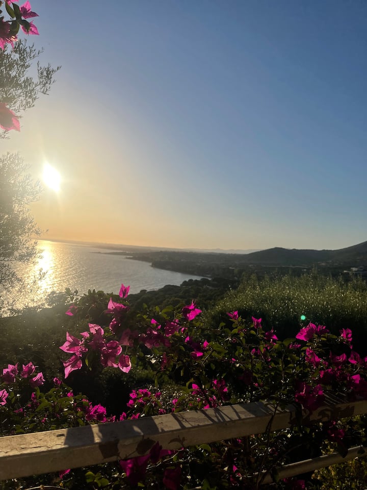 Nel Blu Tra I Profumi Della Macchia Mediterranea - Sardaigne