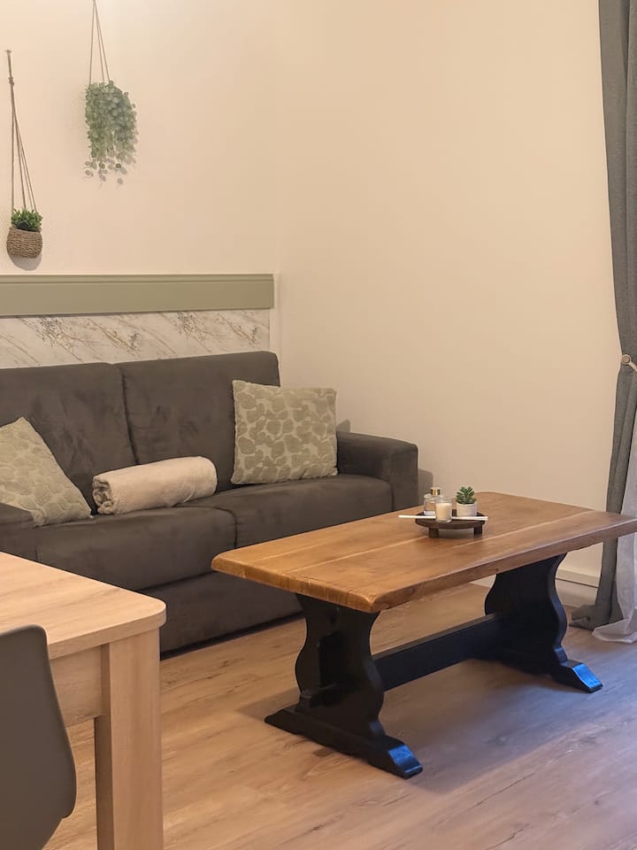 T2 Meublé De 55 M² Plein Centre-ville Historique - Fontenay-le-Comte