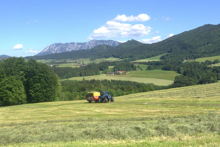 Ferienwohnung Ausblick - Attersee